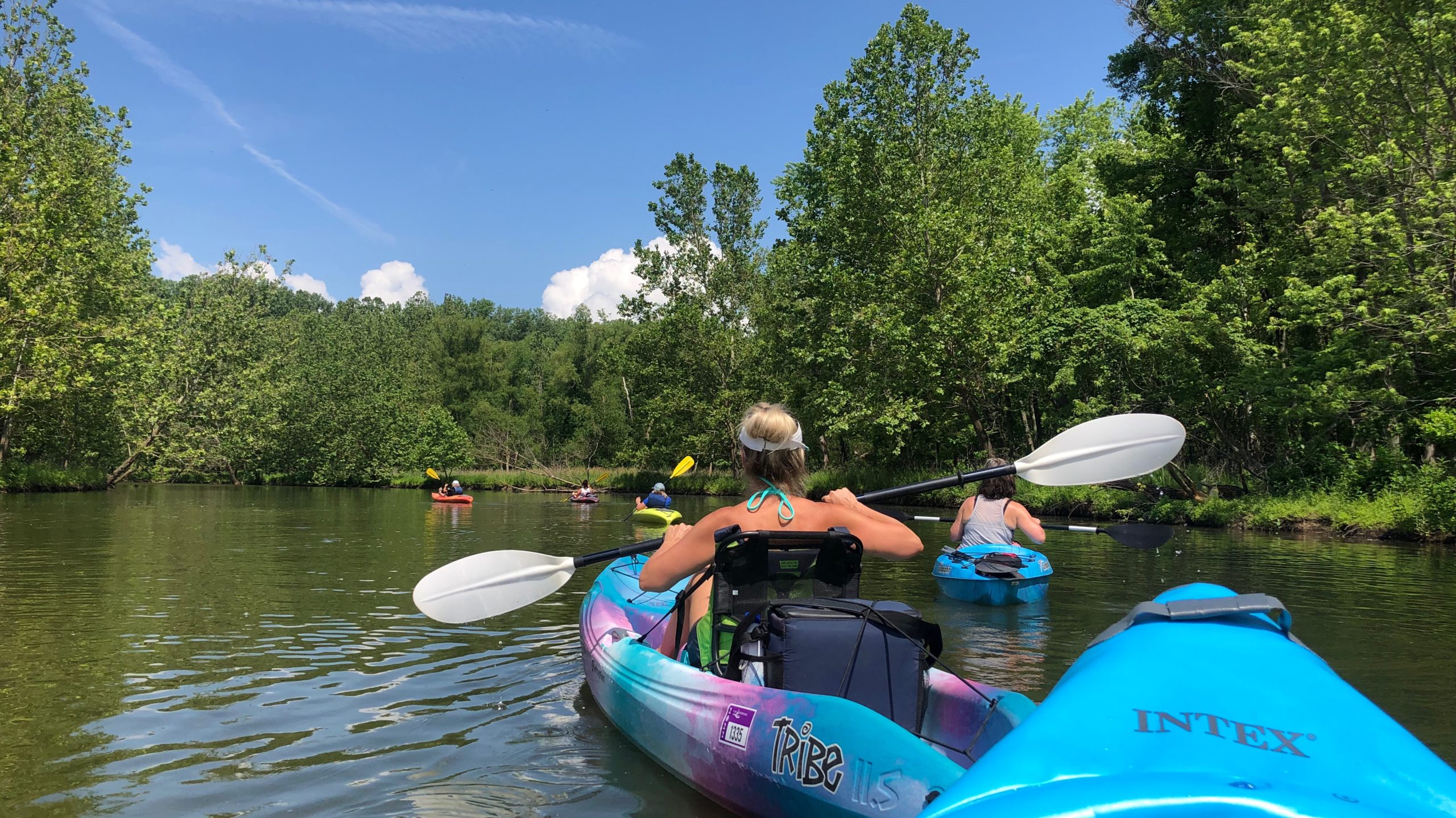 Home - Adventure Chickz